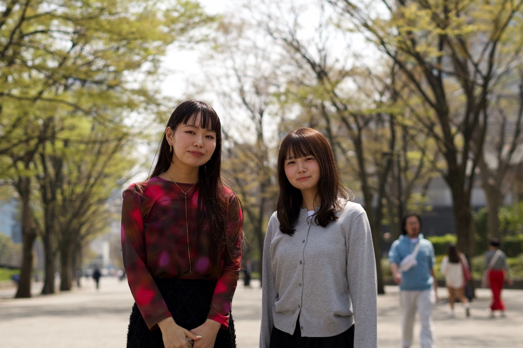 ポテンシャル採用！Pythonエンジニアになりたい気持ちを重視します！ - 株式会社Ansel TechnologiesのWebエンジニアの ...