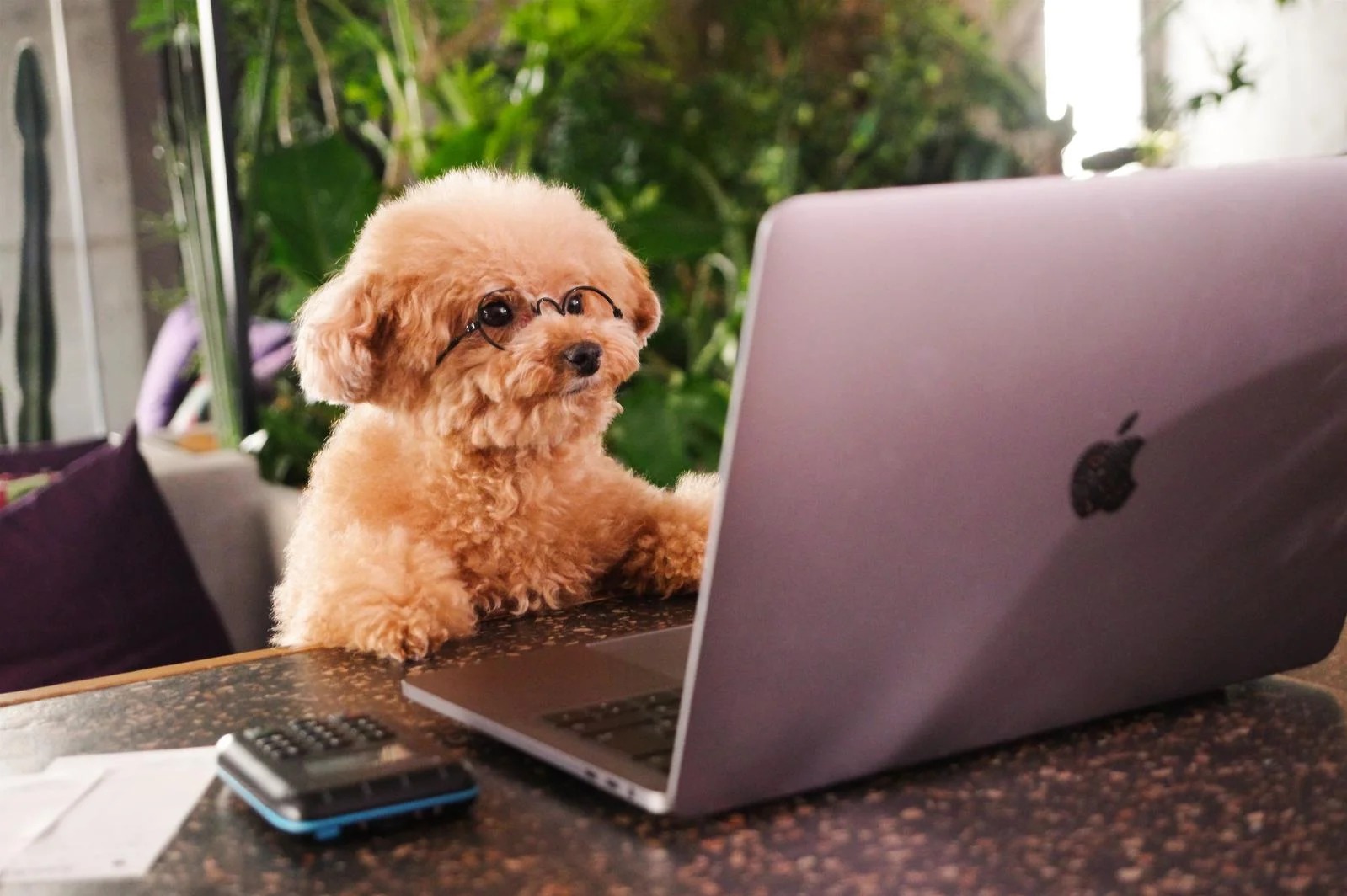 AI・ChatGPT好き必見！Python スキルGET！ - 株式会社KAIKAのシステムエンジニアの採用 - Wantedly