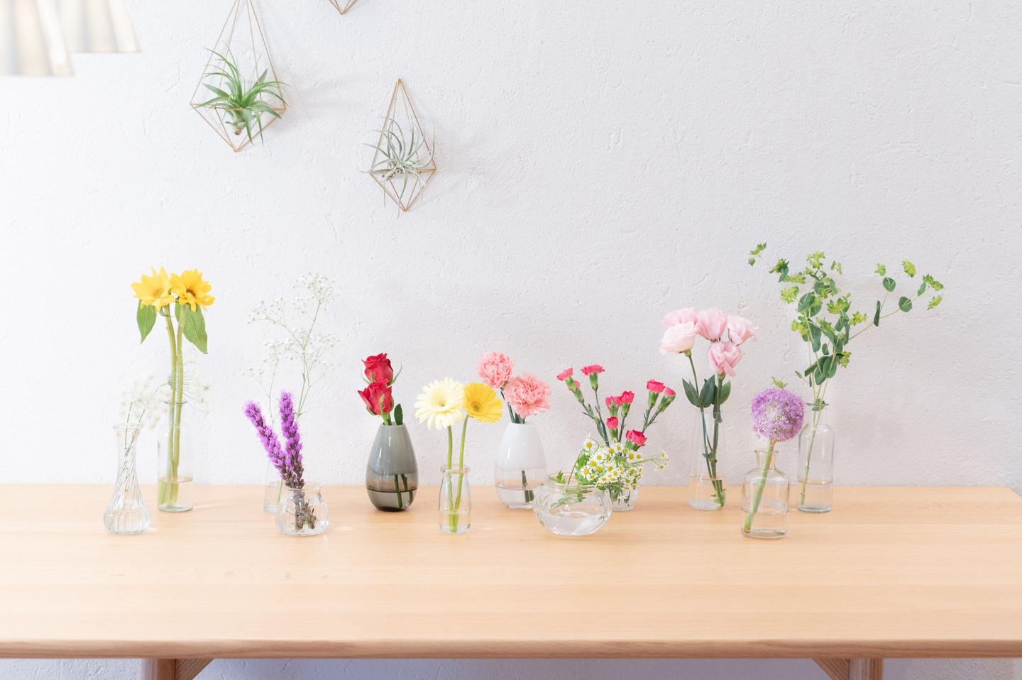 成長中の花のEC事業で活躍！運営スタッフ募集 - 株式会社frantoliveの事務の採用 - Wantedly