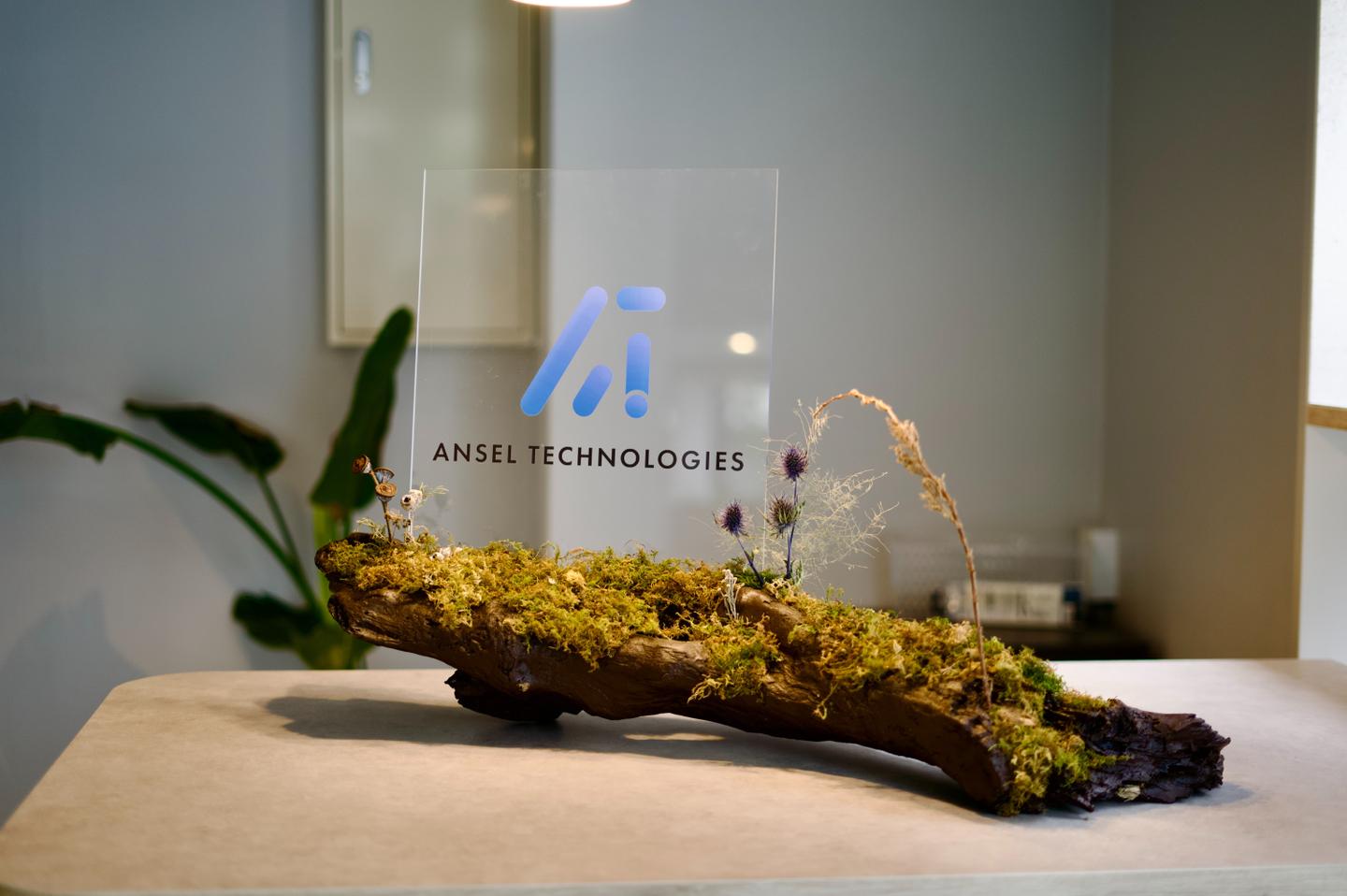 今の経験は問いません！開発現場で活躍できるWEBエンジニアを目指せる環境！ - 株式会社Ansel TechnologiesのWebエンジニアの採用 - Wantedly