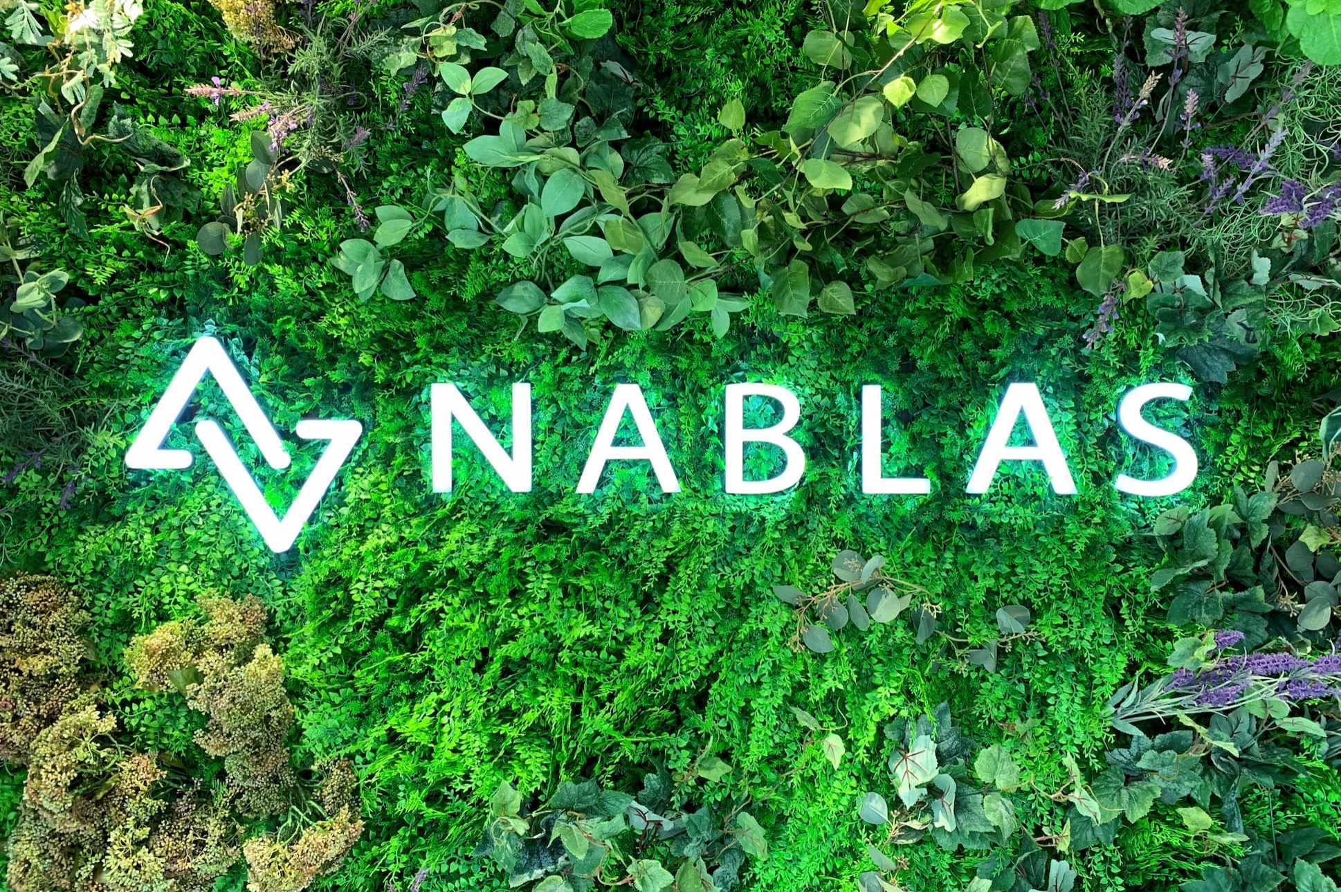 AI×教育 | Python知識を活かすAI講座コンテンツ開発メンバー！ - NABLASのデータサイエンティストの採用 - Wantedly